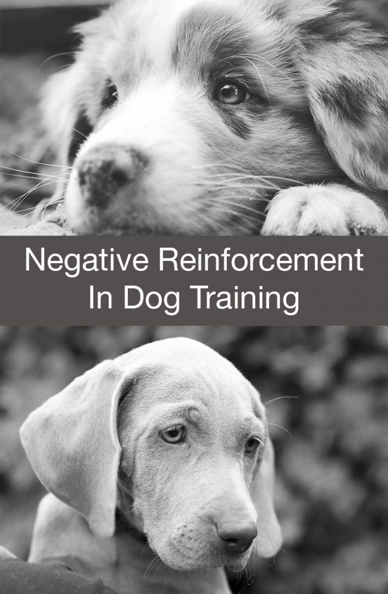 Negative Reinforcement In Dog Training - The Happy Puppy Site