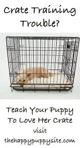Your Ultimate Expert Guide To Crate Training A Puppy