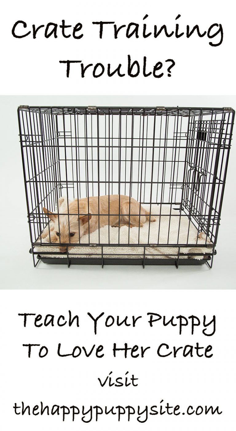 Your Ultimate Expert Guide To Crate Training A Puppy