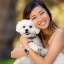 German Shepherd Husky Mix - Your Complete Guide