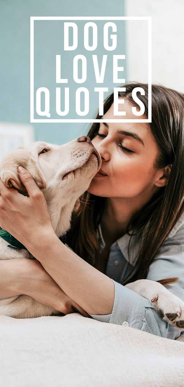 Dog Love Quotes To Send Your Heart Into A Tail Spin