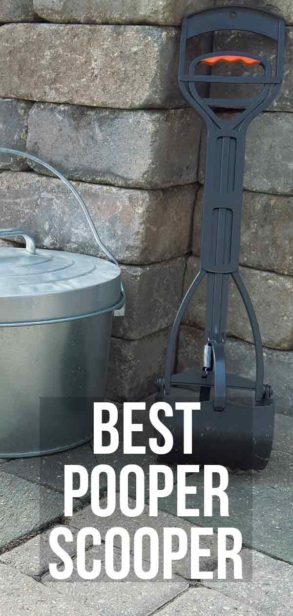 Best Pooper Scooper For The Easiest Possible Pick Up