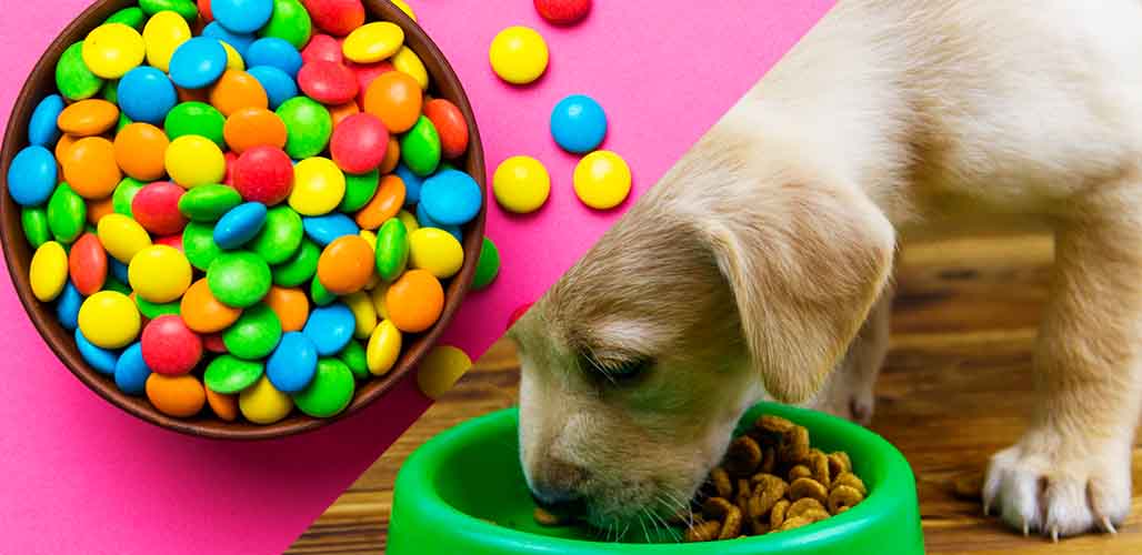 Food Archives The Happy Puppy Site Food Archives The Happy Puppy Site
