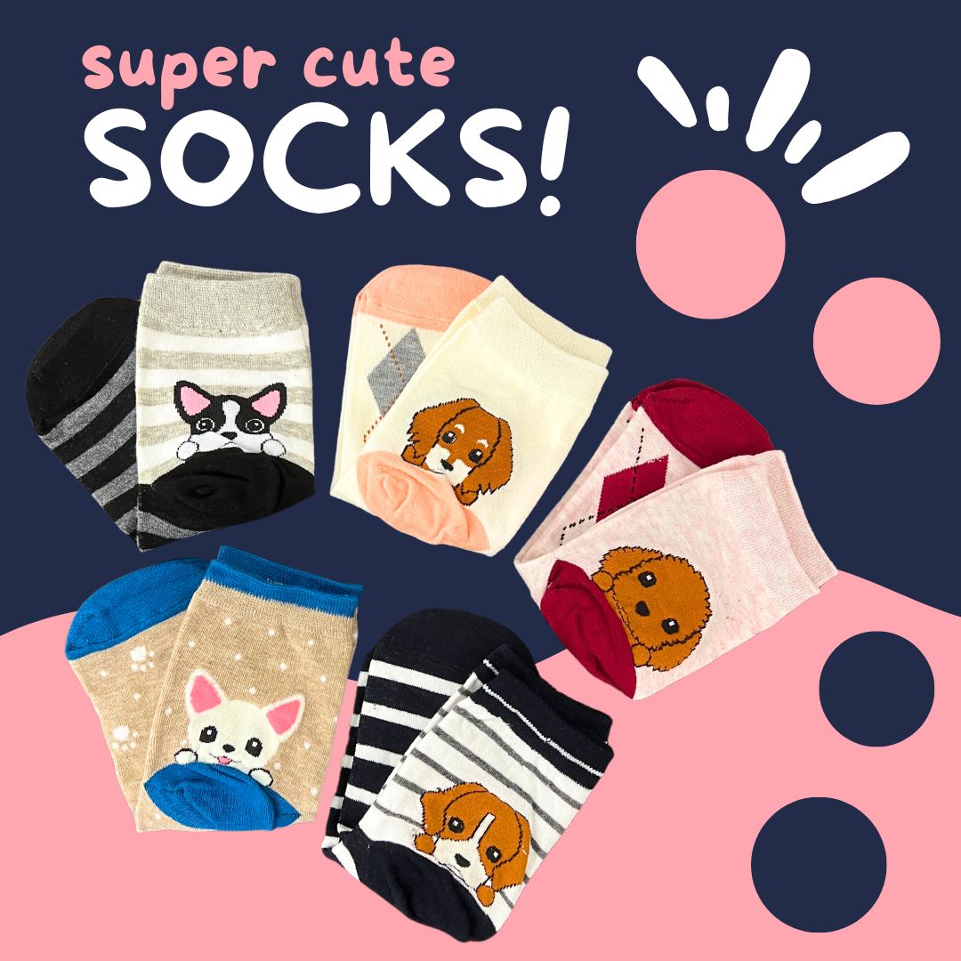 Border Collie Names: Perfect Names for Your Clever Pup